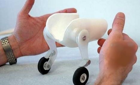 PETSVENTURA PET RELOCATION SOLUTIONS: PROSTHESIS FOR DOG